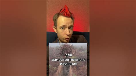 С чего начать изучение Английского Ты тоже делаешь это неправильно Youtube