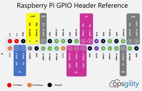 Raspberry Pi Gpio Pinout Wayne S Garden