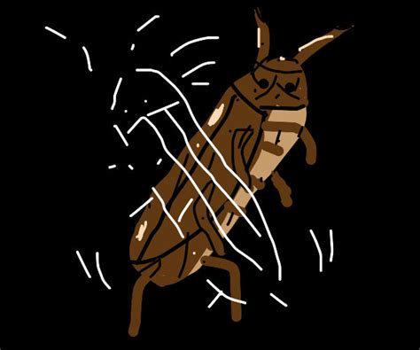 Cockroach Spinning By Innertuber40 On Deviantart