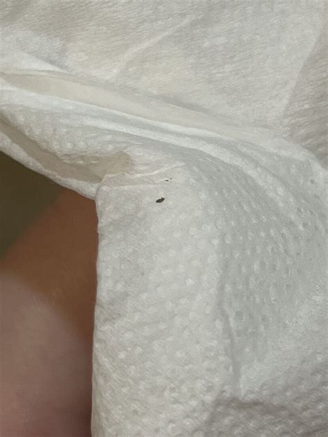 請問這是什麼蟲該如何消滅它謝謝 農業知識入口網