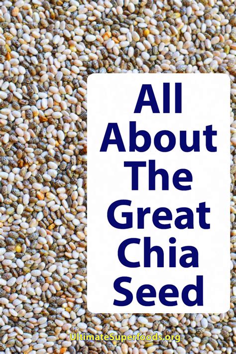 Superfood Cia Seed Benefits Ultimate Super Foods