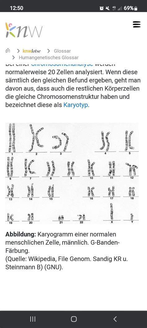 Woran Erkennt Man Bei Diesem Karyogramm Dass Es Ein Mann Ist Biologie