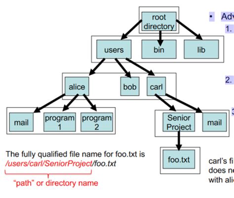 Week Flashcards Quizlet
