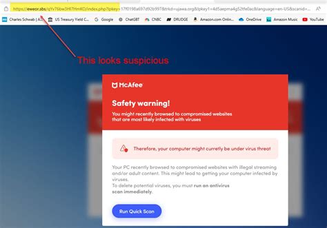 Virus Reported By Mcafee And Norton But Windows Security Scan Says My System Is Clean