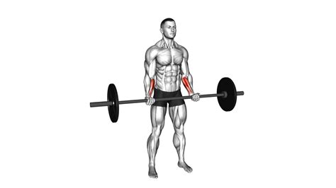 Barbell Standing Wrist Curl Video Guide And Tips For Stronger Wrists