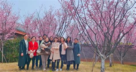 吉水县住建局庆“三八”国际妇女节 社会 经济晚报网