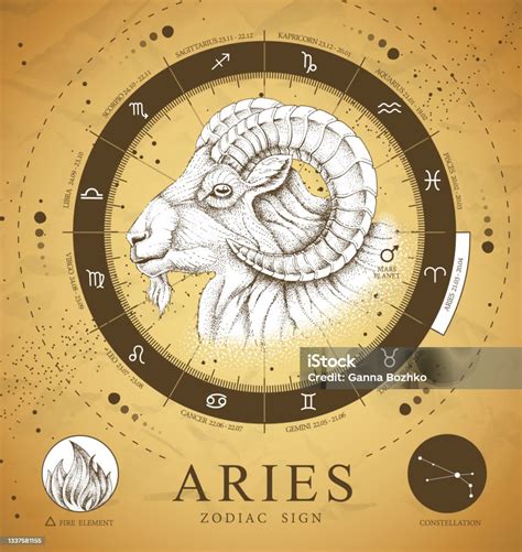 점성술 양자리 조디악 기호 빈티지 마법 마술 카드 현실적인 손 드로잉 램 또는 무플론 헤드 조디악 특성 드로잉에 대한 스톡 벡터 아트 및 기타 이미지 Istock