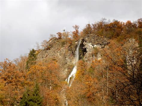 November In Borjomi Cagu Flickr