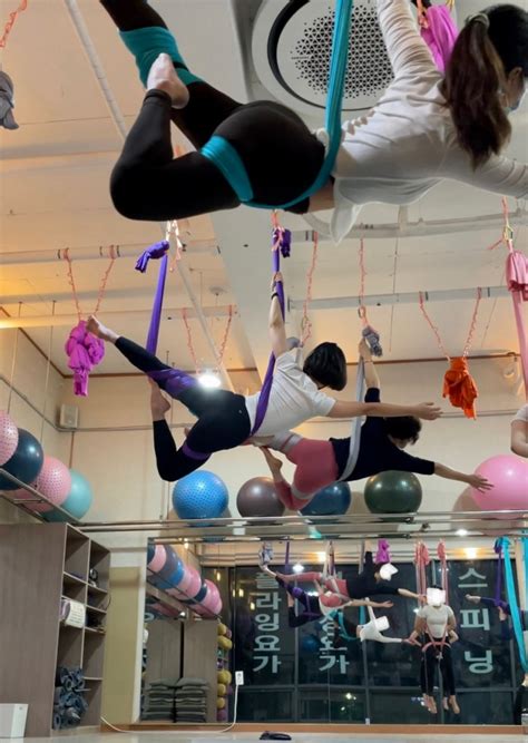 제주요가원 밸런싱요가and필라테스 아라점 플라잉 요가 후기 네이버 블로그