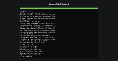 Nodejs Net Module Gopi Codesandbox