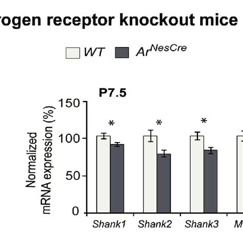Comparative Shank Gene Expression Analysis By Ncounter In The Cortex Download Scientific