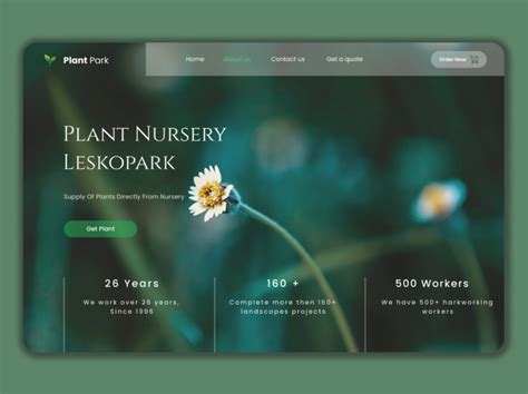 Landing Page UI UX Design For E Commerce Website By Ali Shan On Dribbble
