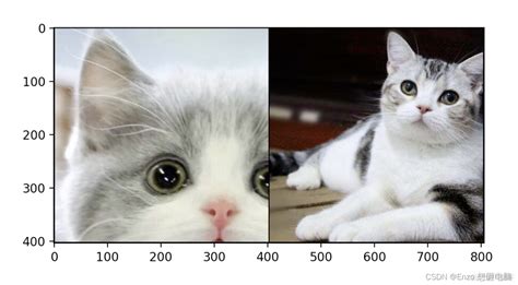 Pytorchlightning 和 Torchmetrics兼容性 Pytorch与torchvisionmob6454cc6658d1