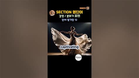 감정이나 분위기 관련 영단어 반복 듣기로 정복하기 12 쉽게 외우는 단어암기장 토익 텝스 수능영어 내신영어 영어단어 영어어휘 보카 Youtube