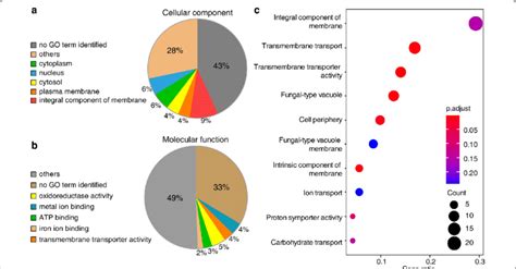 Functional Classification Of Differentially Expressed Genes DEGs Download Scientific Diagram
