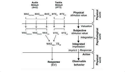 Schematic Diagram Of The Information Integration Theory Adapted From