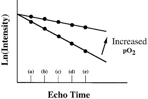 Correlation Of Bold Mri With Po 2 The Deoxygenation Of Hemoglobin Download Scientific Diagram