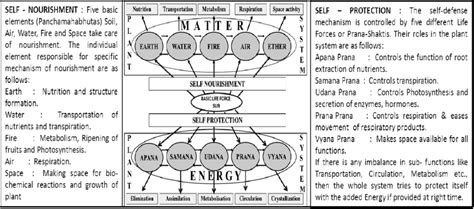Plant Energization Under Irf Technology Following Eea Principle