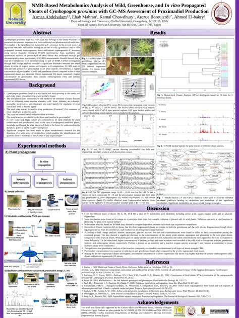 Pdf Nmr Based Metabolomics Analysis Of Wild Greenhouse And In Vitro Propagated Shoots Of