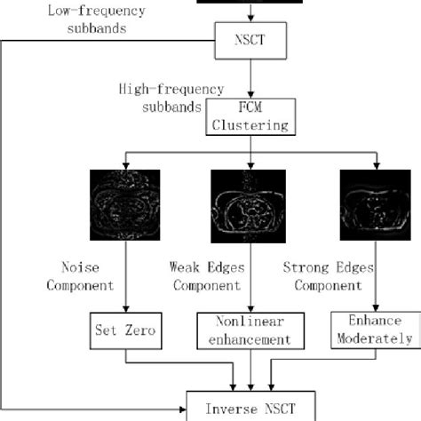 Clustering Results Of The High Frequency Coefficients Download Scientific Diagram