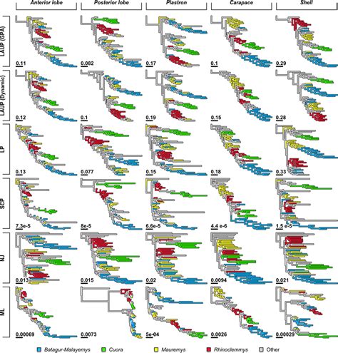 Trees Found With The Different Methods And Datasets Showing How Download Scientific Diagram