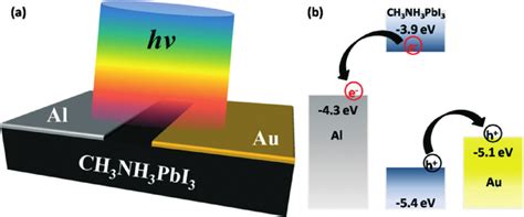 Structure Of The Self Powered Photodetector A Schematic Illustration
