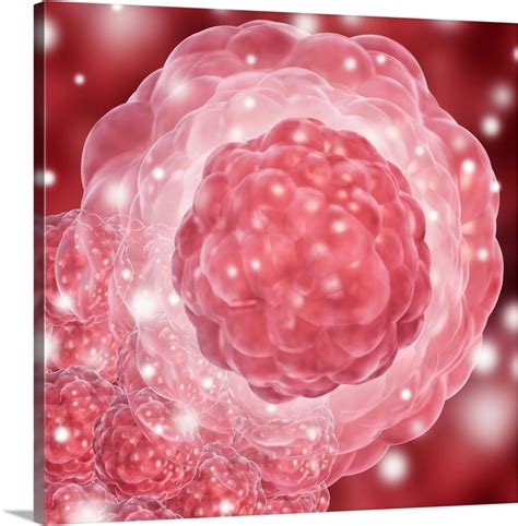 Stem Cell Conceptual Artwork Wall Art Canvas Prints Framed Prints Wall Peels Great Big Canvas