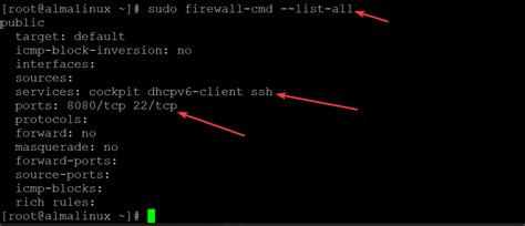 how to install jenkins automation server on almalinux 8 vitux