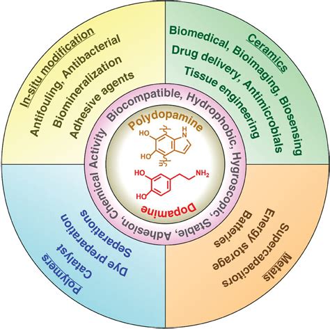 Polydopamine‐enabled Biomimetic Surface Engineering Of Materials New