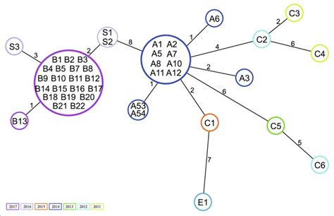 minimum spanning tree based on core genome multilocus sequence typing