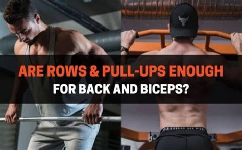 Are Rows And Pull Ups Enough For Back And Biceps