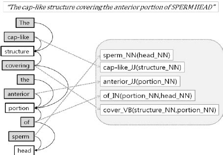 Predicate Argument Structure And Predicate Argument Tuples In A Sentence Download Scientific