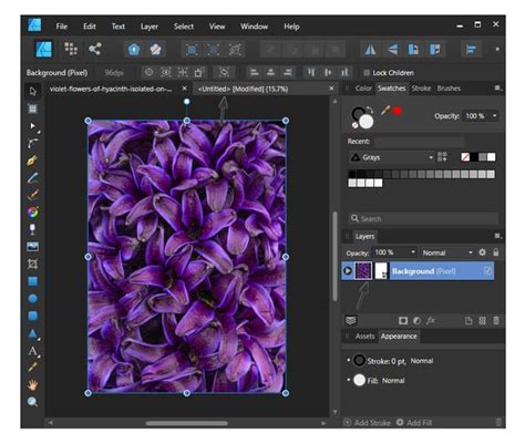How To Crop In Affinity Designer Envato Tuts