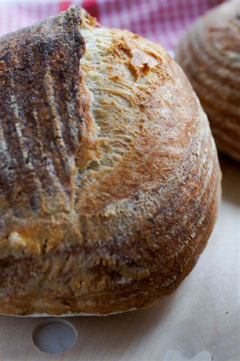Тартин Country Bread Bread Food