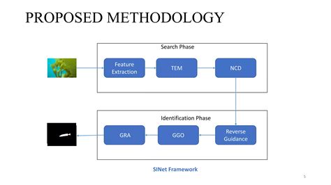Concealed Object Recognition Ppt