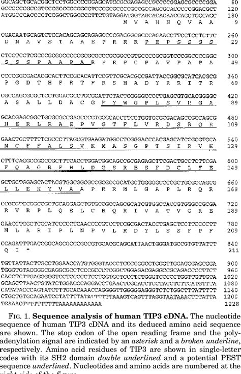 Figure 1 From Socs 1jabssi 1 Can Bind To And Suppress Tec Protein Tyrosine Kinase Semantic