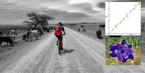 Just How Do We Plot Multinomial Features By Shaun Enslin Towards Data Science