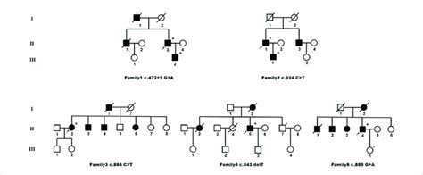 Pedigree Charts Of Heterozygous Htra1 Pathogenic Variant Families
