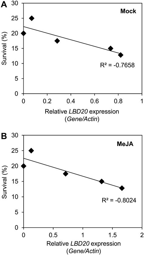 The Lateral Organ Boundaries Domain Transcription Factor Lbd20