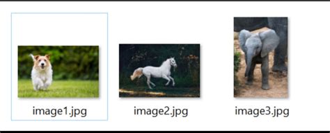 salesforce globe for you salesforce shorts access the static resource images in lightning