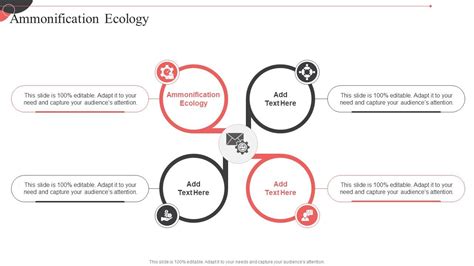 Ammonification Ecology In Ppt Powerpoint Presentation Slide Templates Cpp PPT Sample