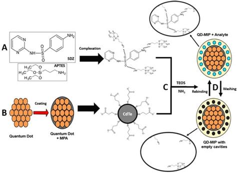 Biosensors Special Issue Trends In Fluorescent And Bioluminescent Biosensors