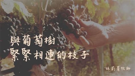 【與葡萄樹緊緊相連的枝子】林莉菁 牧師 Youtube