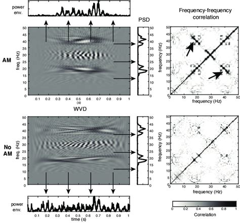 Cross Frequency Correlation In The Wvd Induced By Amplitude Modulation Download Scientific