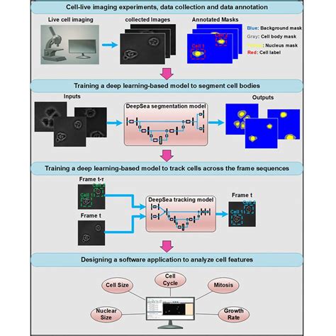 Ucsc Scientists Introduce Deepsea A Novel Deep Learning Based Software For Cell Detection And