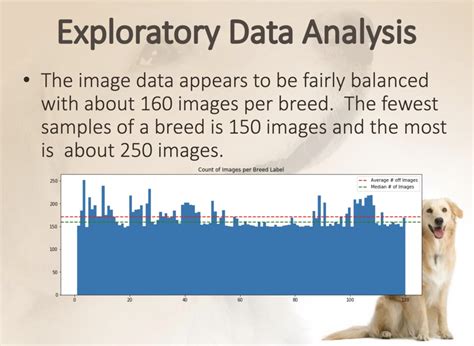 Data For Science Project Hot Sex Picture