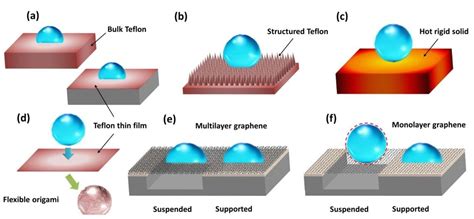 Wettability Ecological Drivers Of Eggshell Wettability In Birds