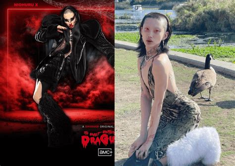 dragula season 5 cast out of drag r dragula