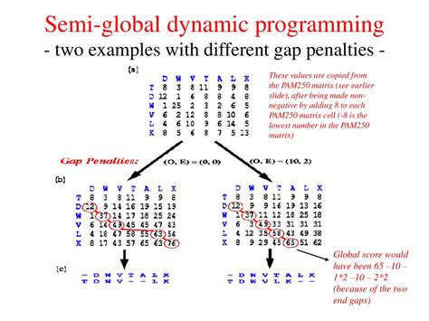 Introduction To Bioinformatics Ppt Download
