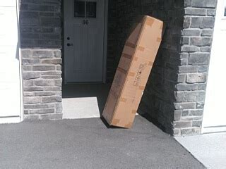 All Reviews SexDollsOff